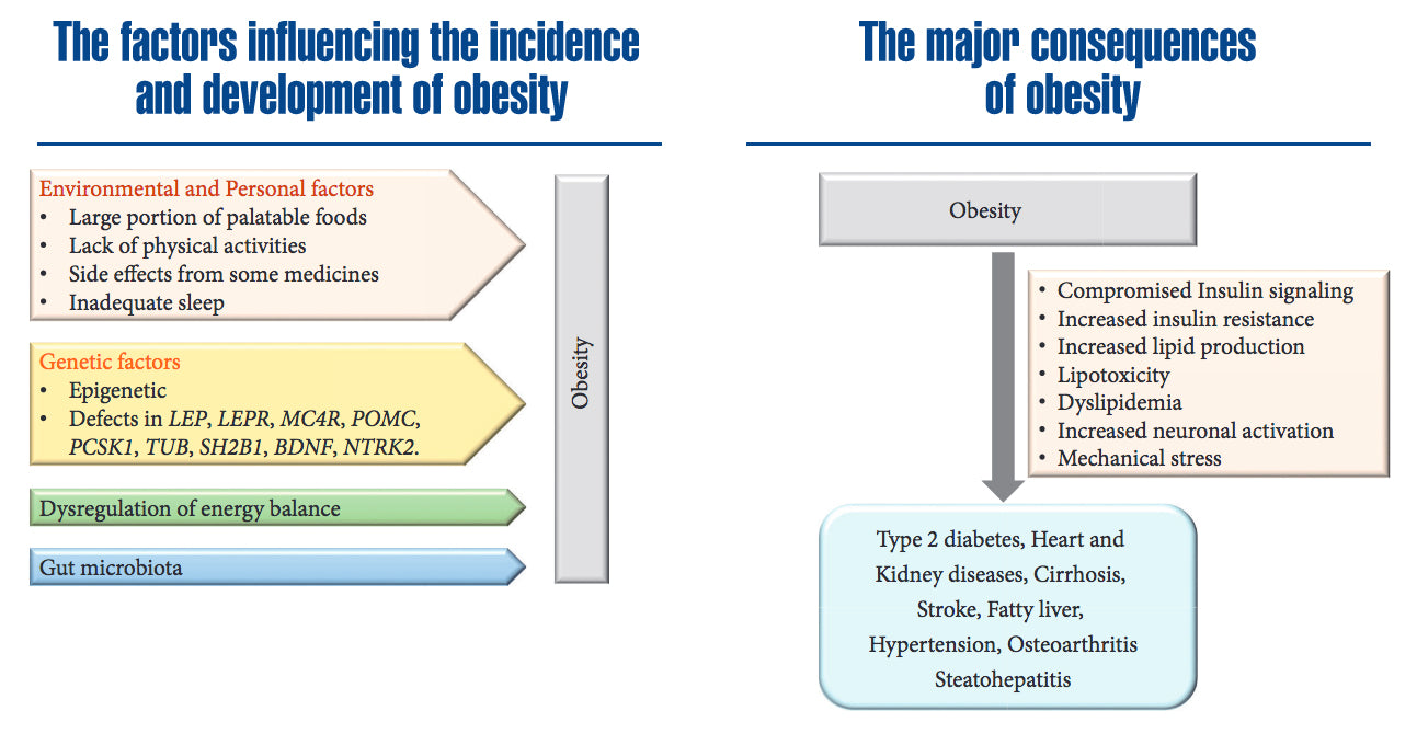 A Review on Role of Microbiome in Obesityand Antiobesity Properties of ...